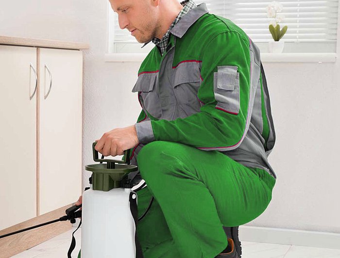 Pest Rid - Pest Control & Eradication
